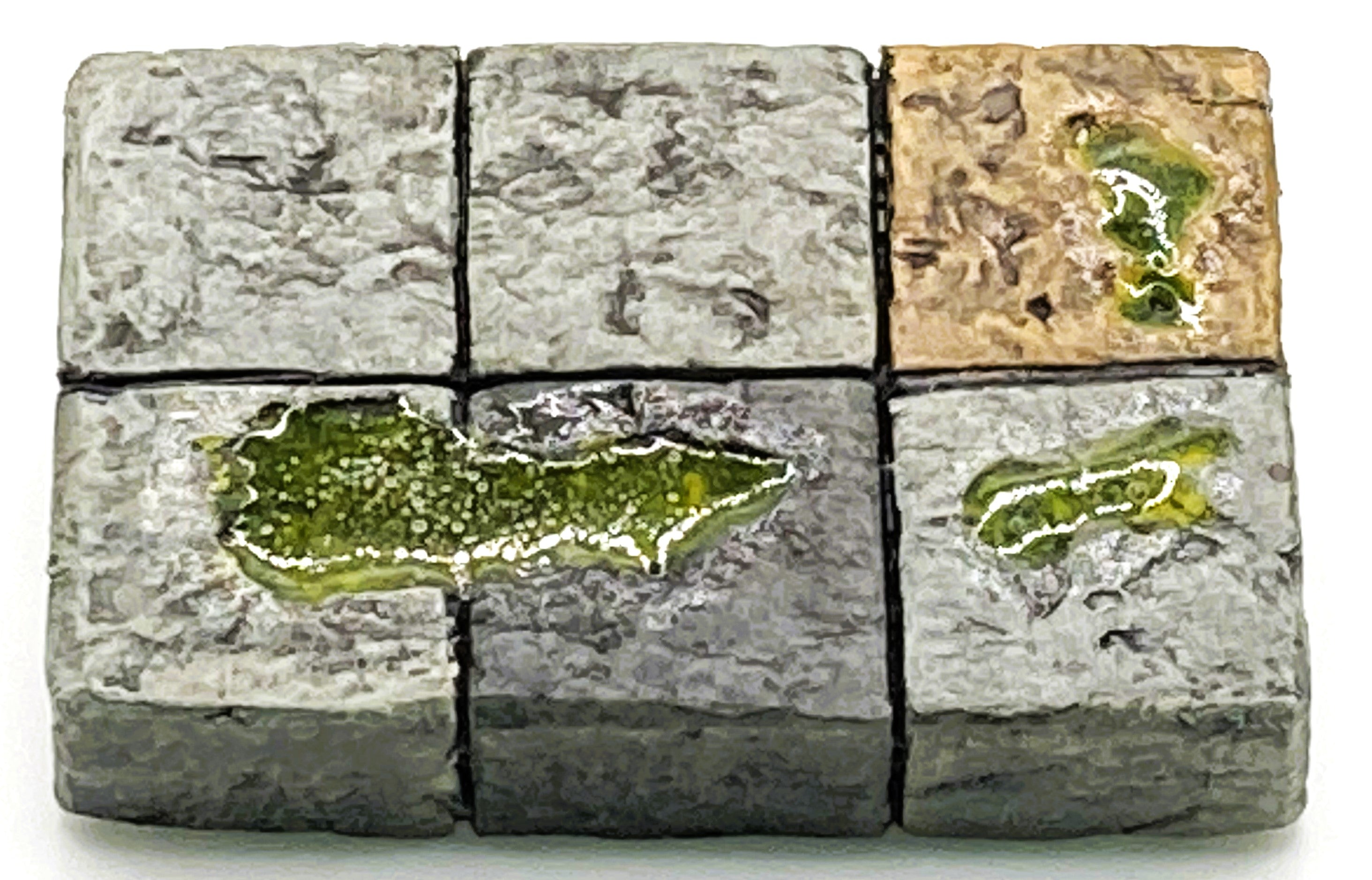 Dungeon Tile, Slime, Medium, 3x2, Dual-sided – NG Lennox O/A Borders of ...